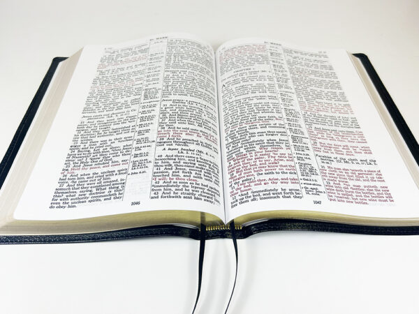 Large Print Classic Study Bible - Corporate Series, Black - Church ...