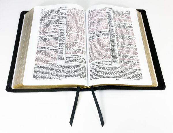 Midsize Large Print Classic Study Bible – Redeemer Series, Black (Gold ...
