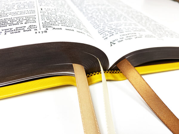 Handsize Text Bible - Full-Grain Cowhide Series, Honeycomb - Church ...